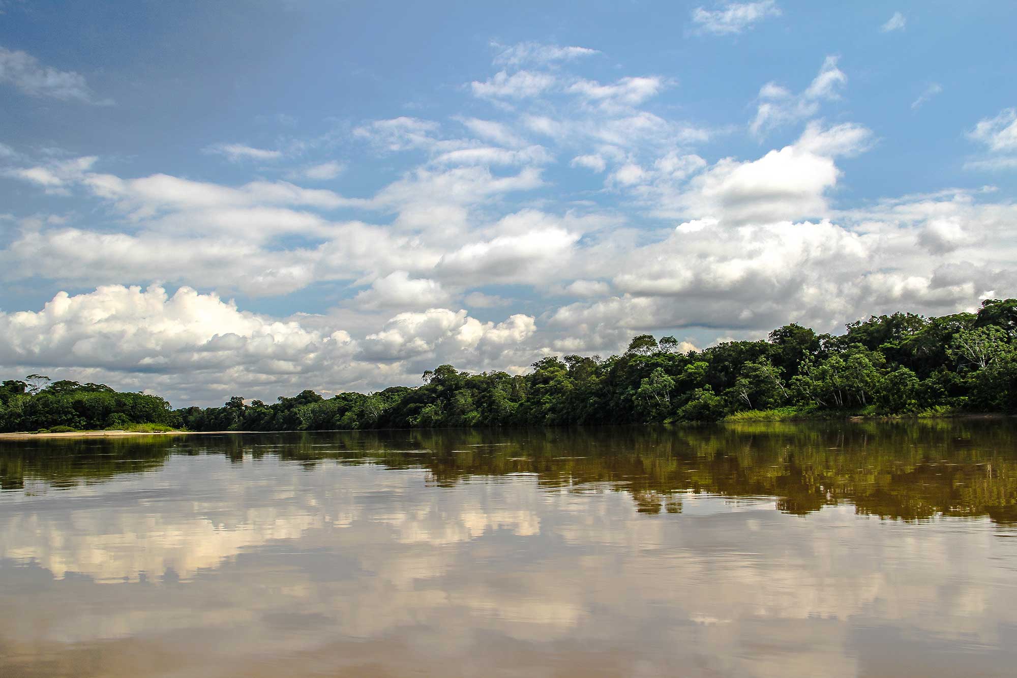 Support Us | Amazon Conservation Team