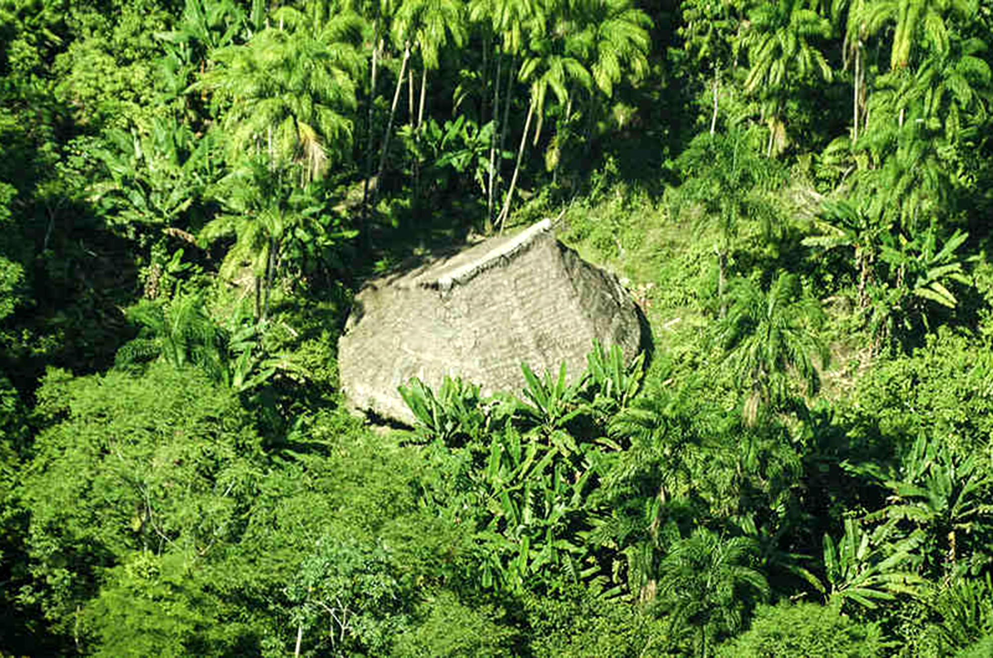 The Isolated Tribes | Amazon Conservation Team